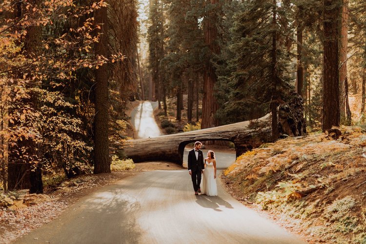Sequoia Weddings