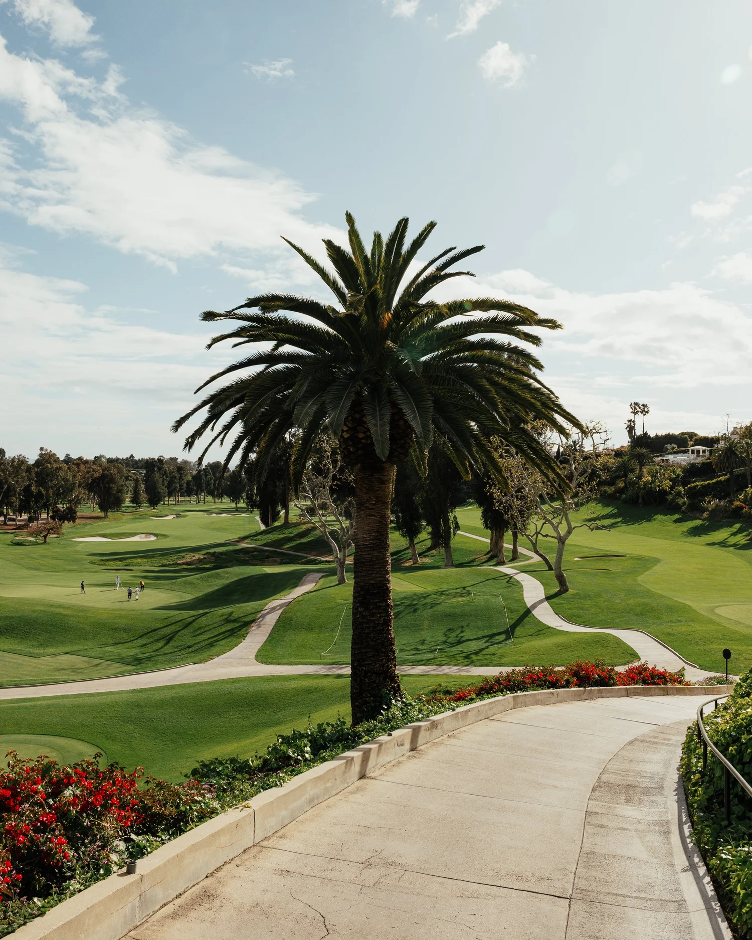 Urban Golf Performance