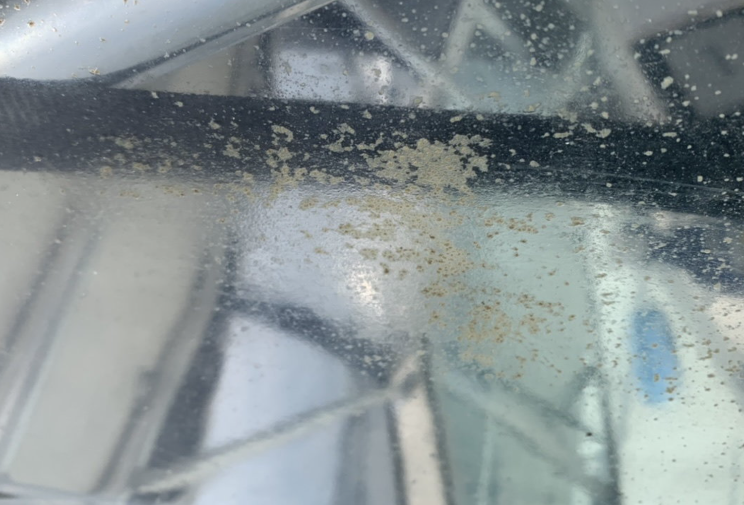 How to Sell Your Boat Fast — Captain Kurt