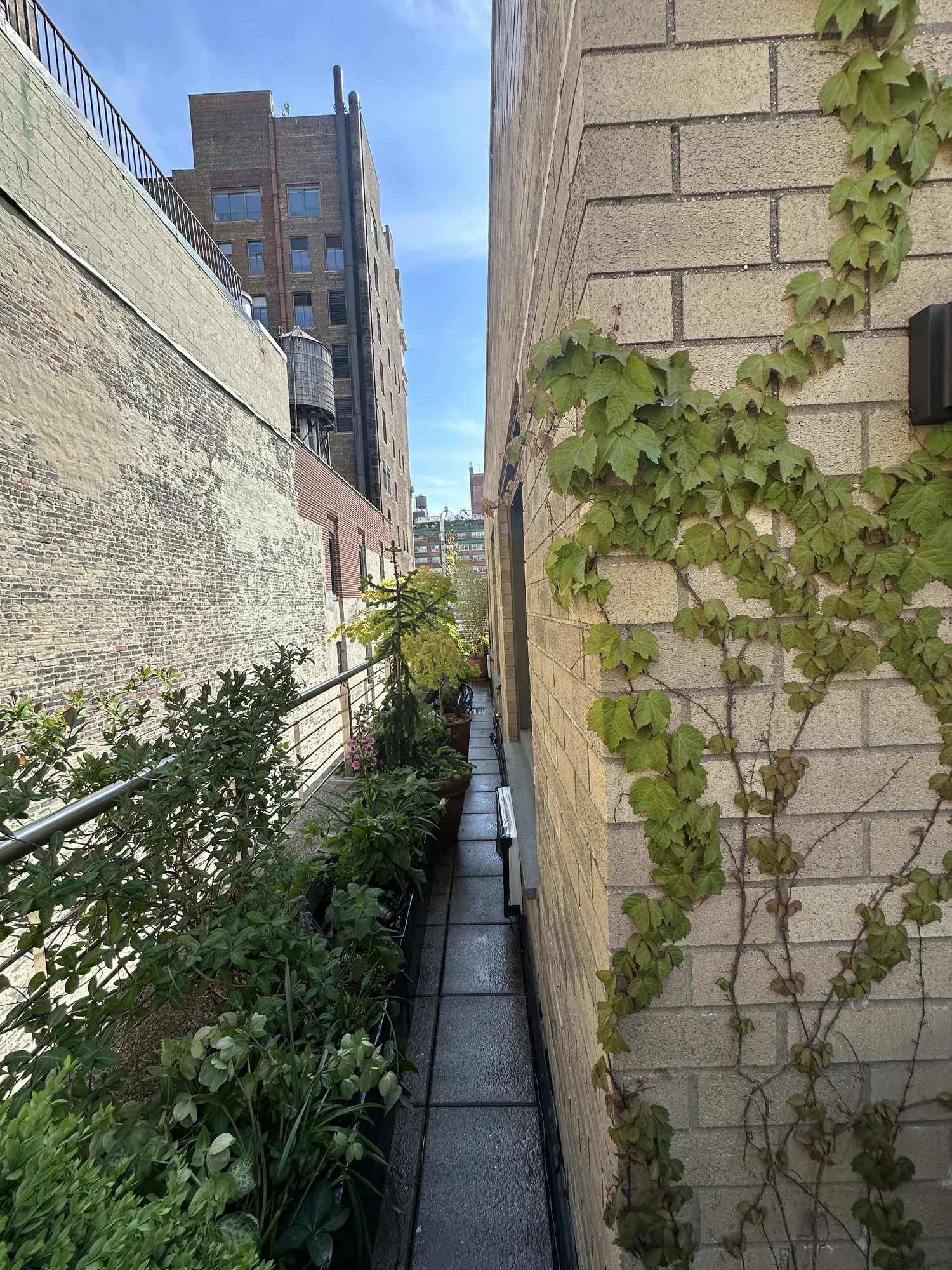 NYC Drip Irrigation for Container Gardens