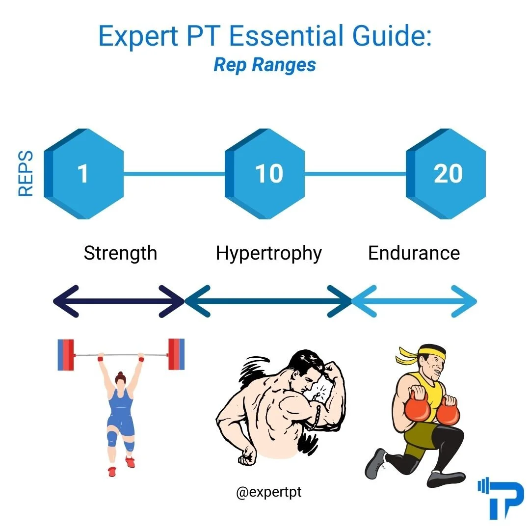 Rep Ranges For Cutting : What Kind Of Rep Range For Fat Loss – VHKTX