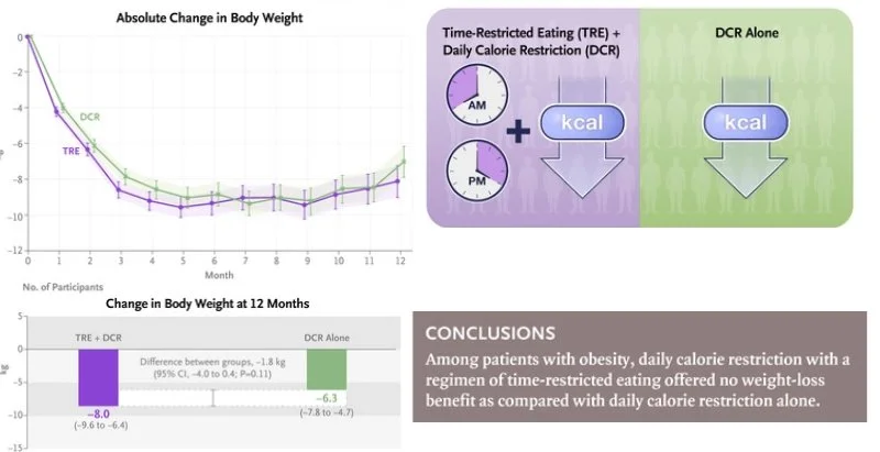 New Study on Intermittent Fasting (April 2022) – Expert PT