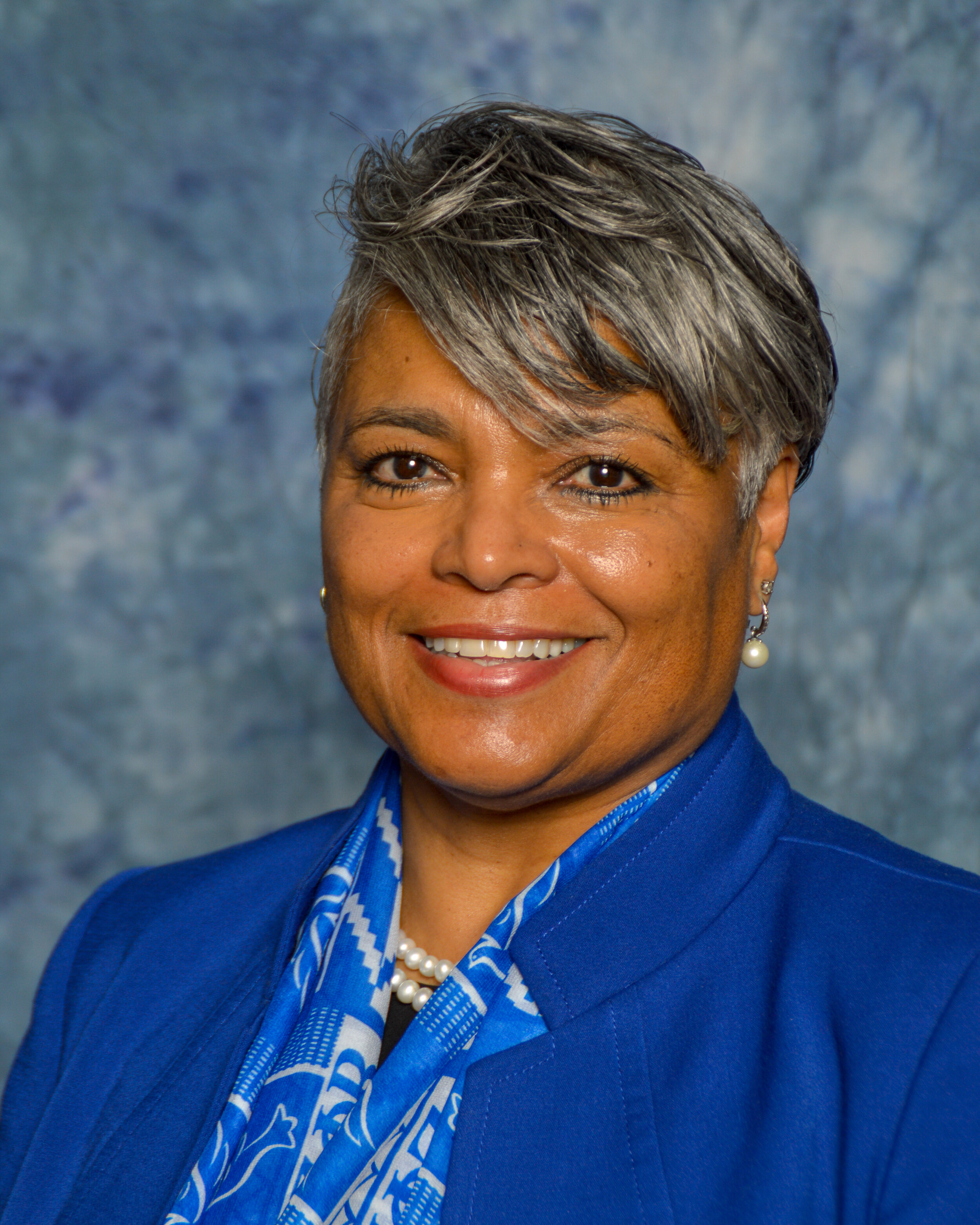 DeSoto County Meet the Team — The Harwood Institute