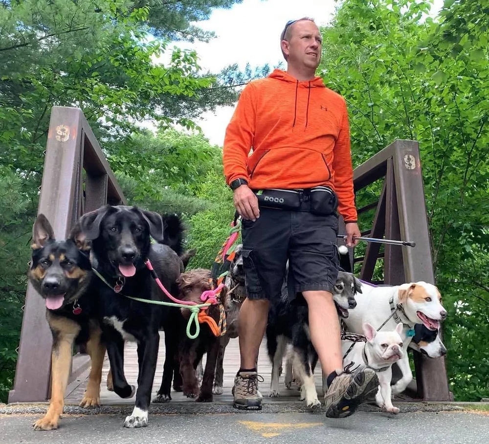 Dog Training — Vermont Dog Trainer