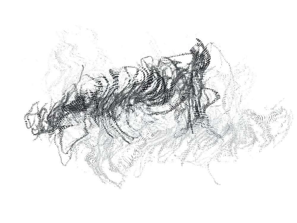 Disjointed Vision — JEN SEIBERT