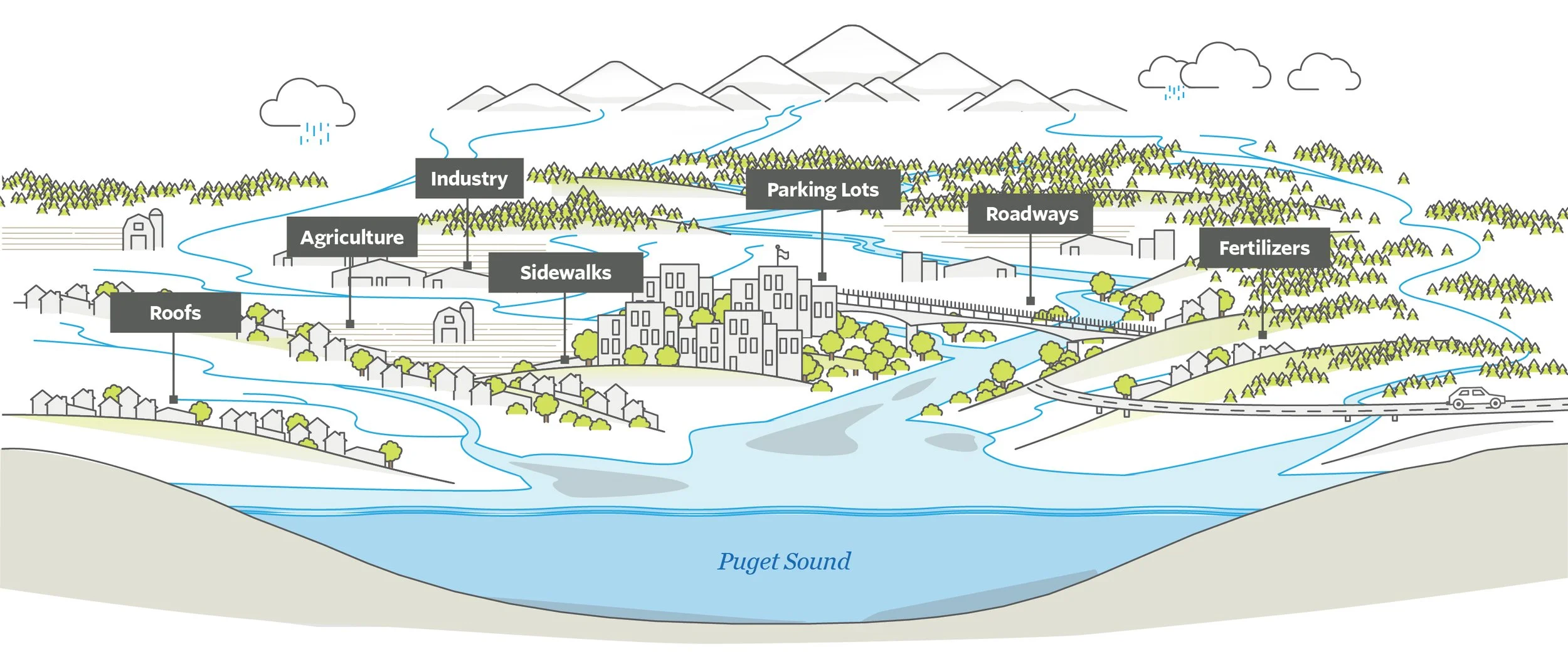 Stormwater Runoff Pollution