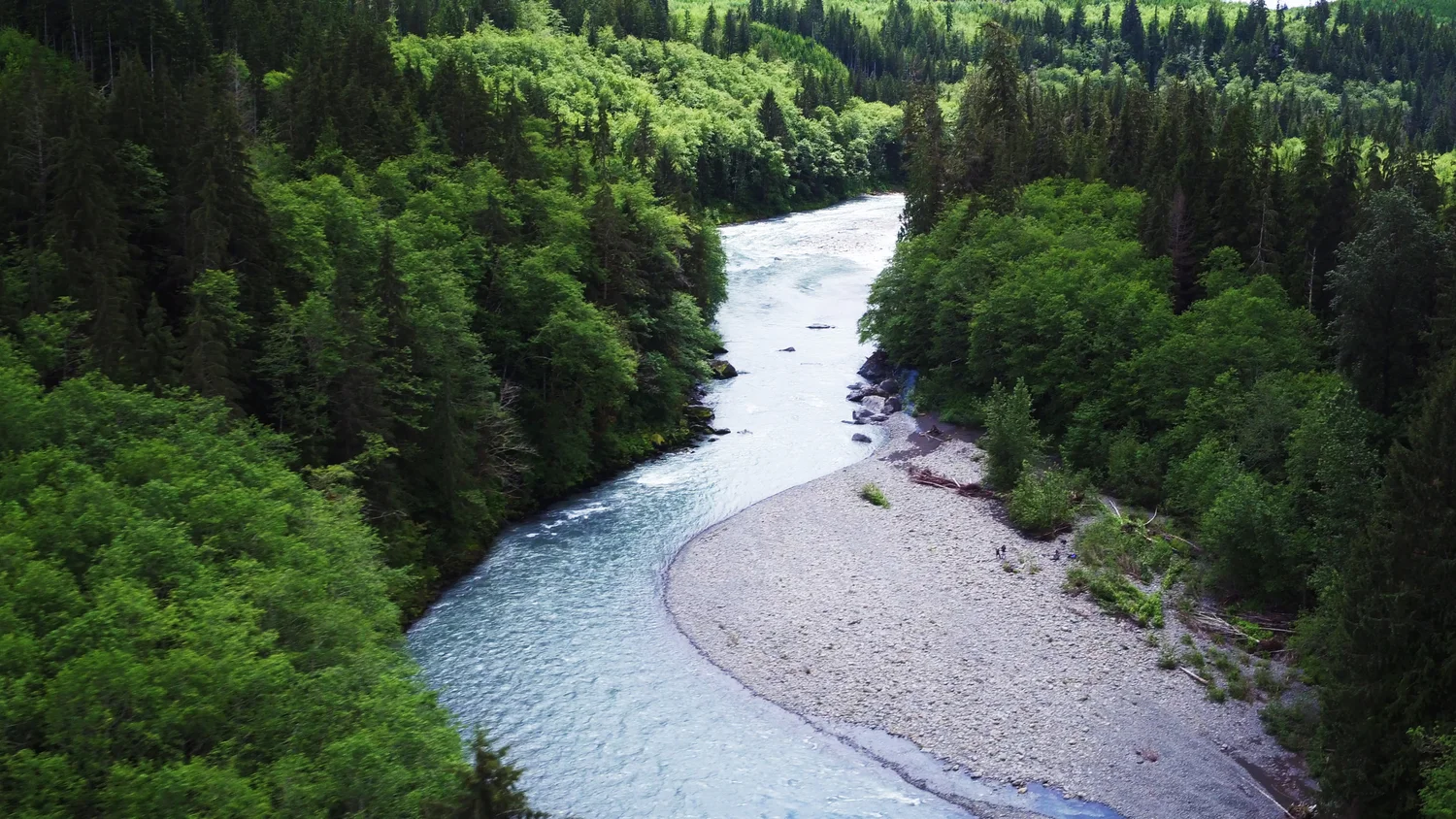 Ho River Washington
