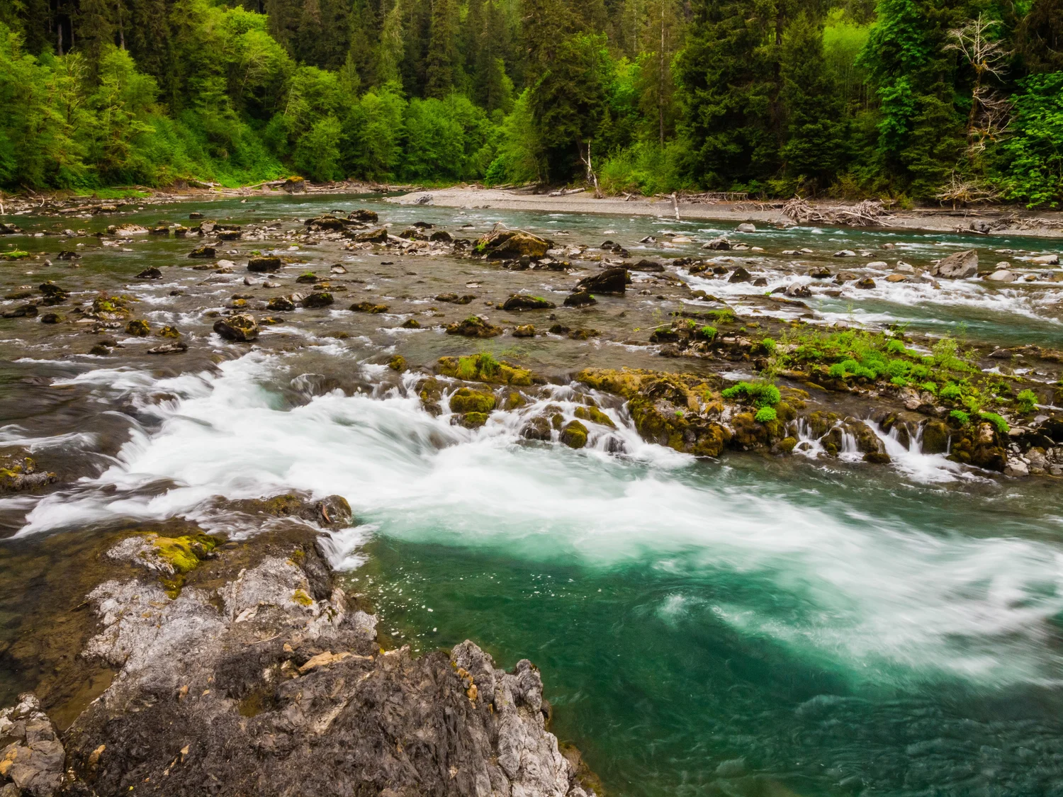 Ho River Washington
