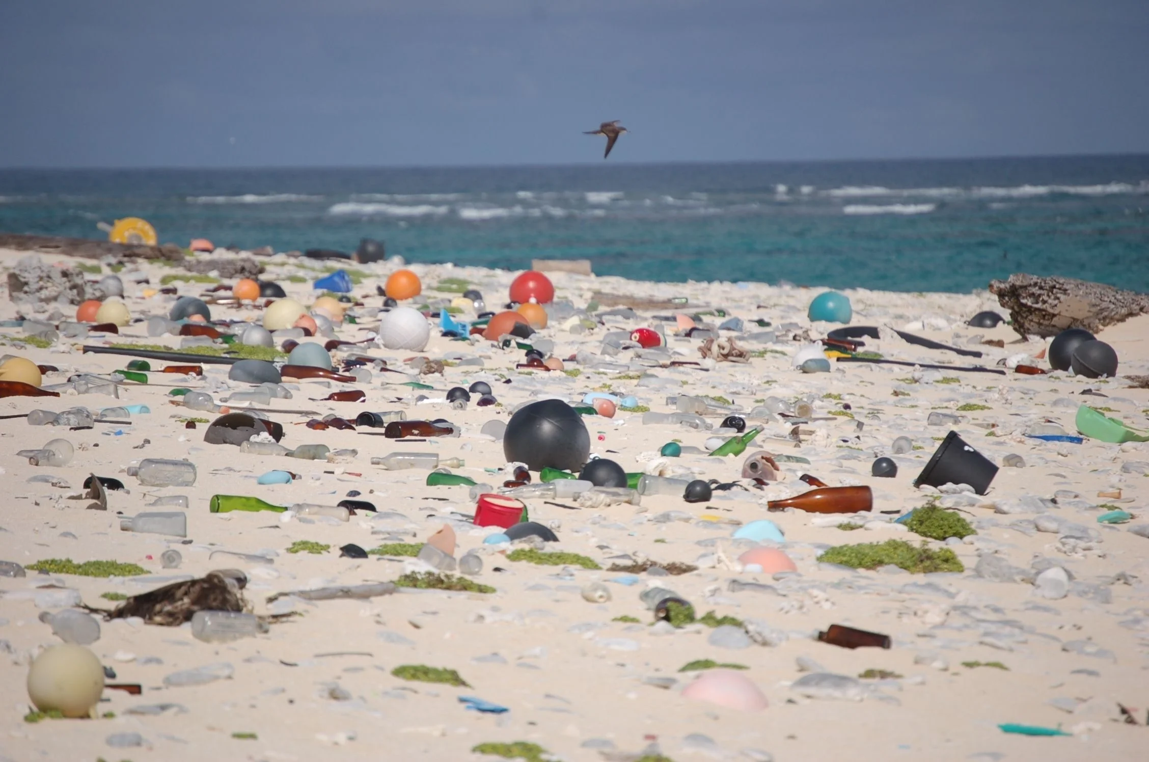 Microfibers: Tiny Plastics Have a Huge Impact on our Oceans — The ...