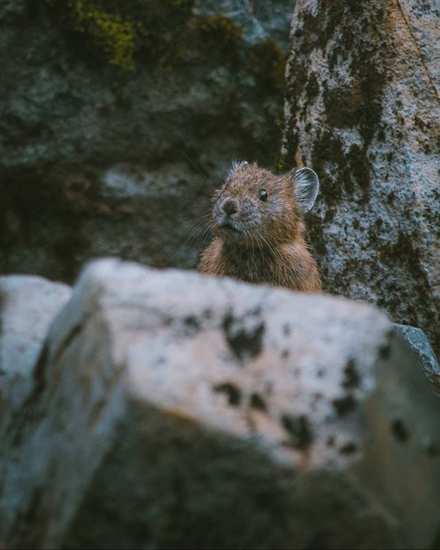 The Nature Conservancy in Washington