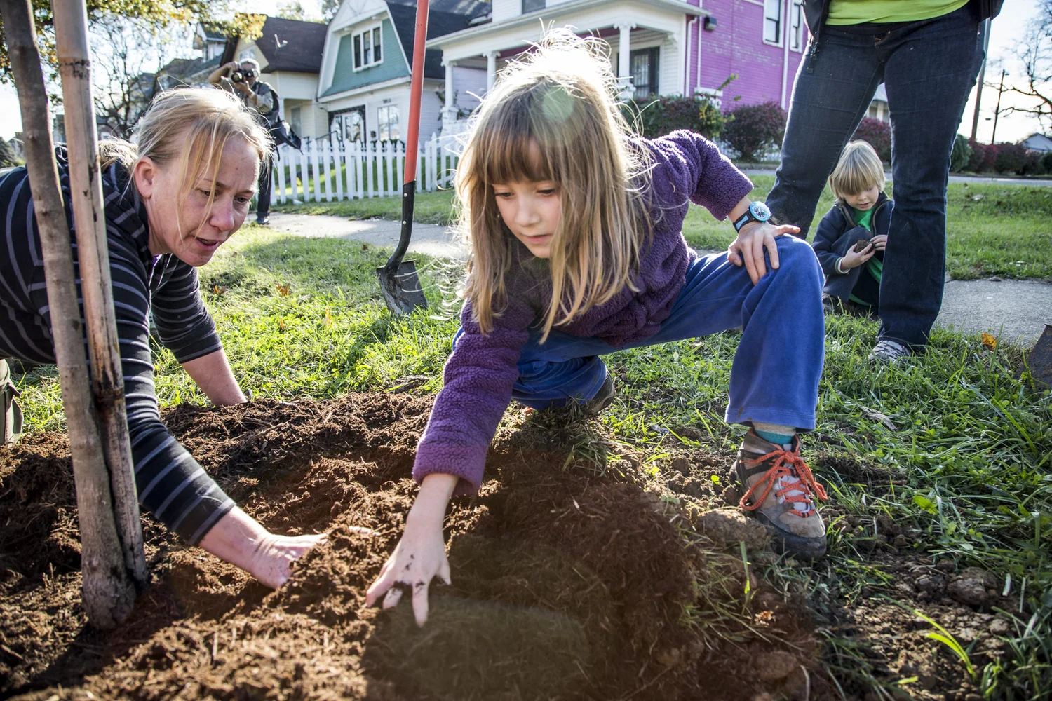 Taking Care Of Trees