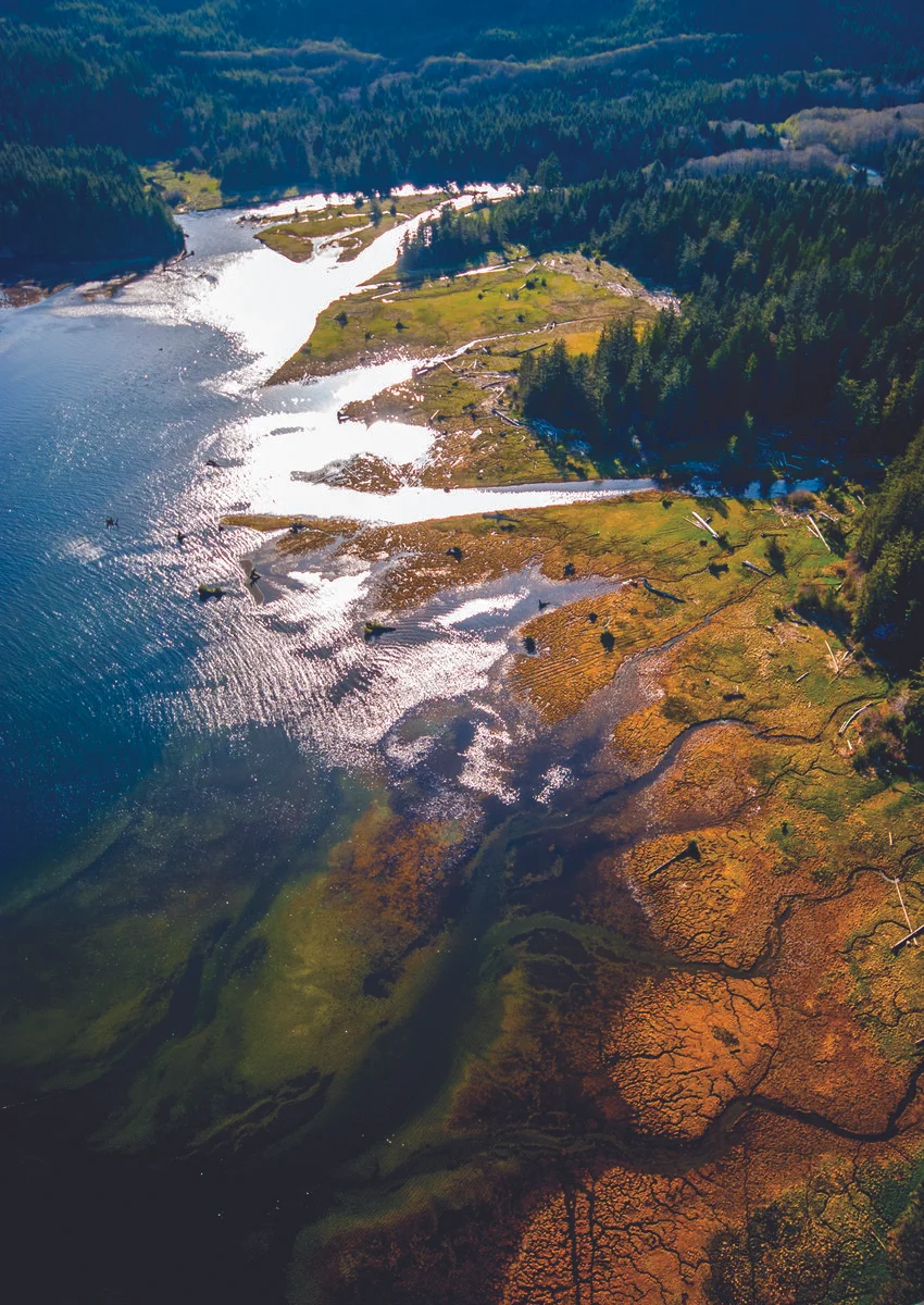 2019 Emerald Edge - The Nature Conservancy in Washington