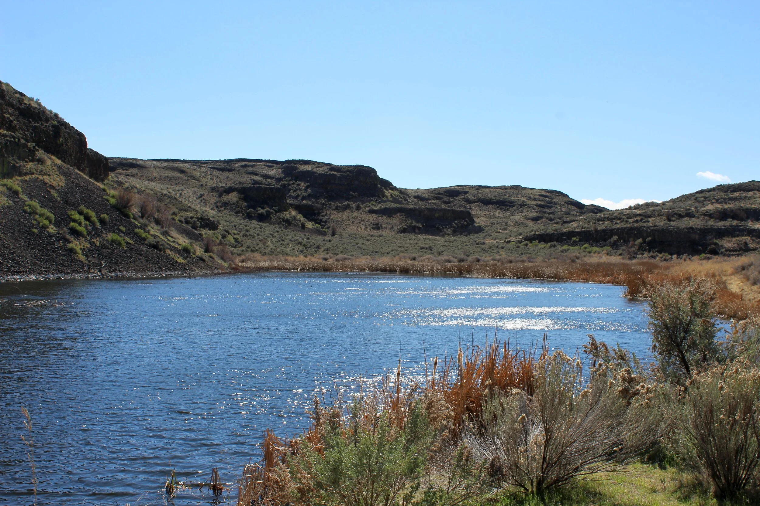 Exploring Moses Coulee/Beezley Hills — The Nature Conservancy in Washington