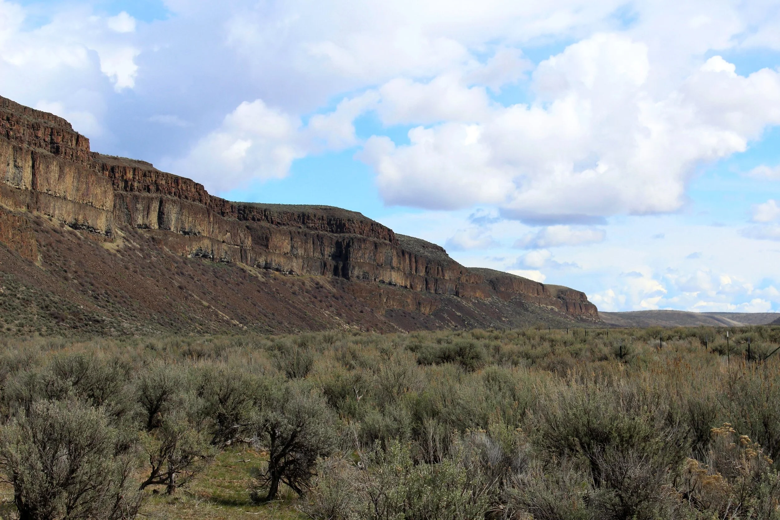 Exploring Moses Coulee/Beezley Hills — The Nature Conservancy in Washington
