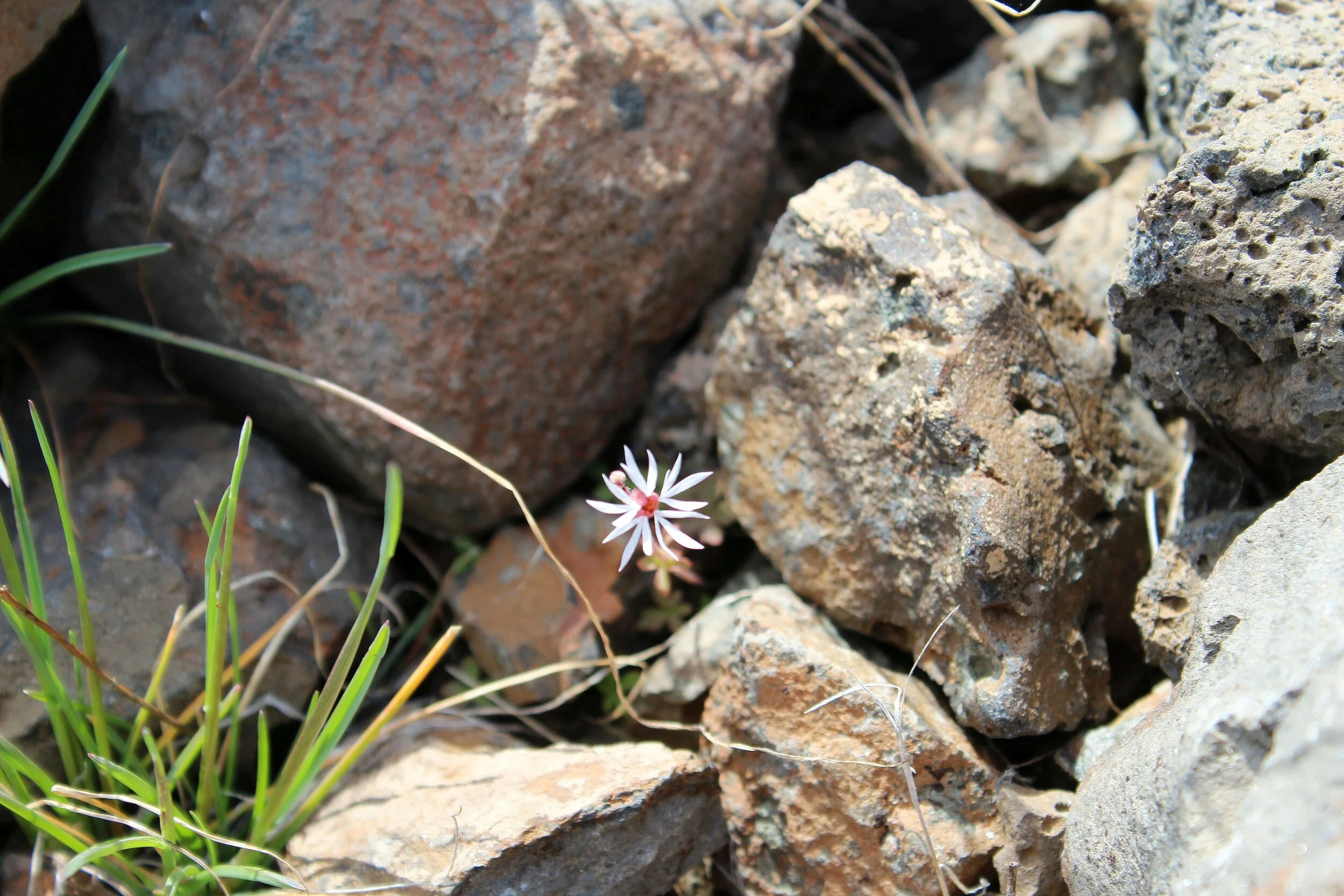 Exploring Moses Coulee/Beezley Hills — The Nature Conservancy in Washington