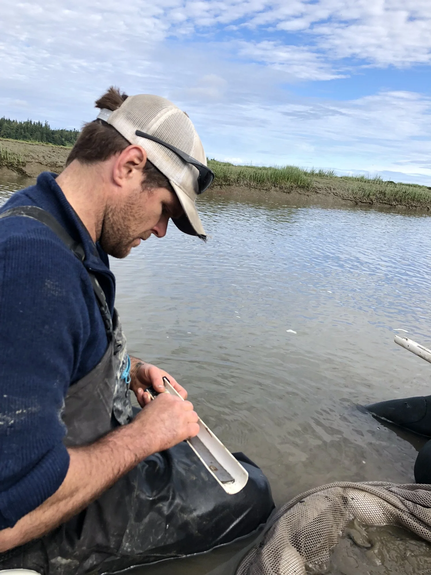 Port Susan Bay Preserve: Where have all the Chinook Gone? (Part 1 ...
