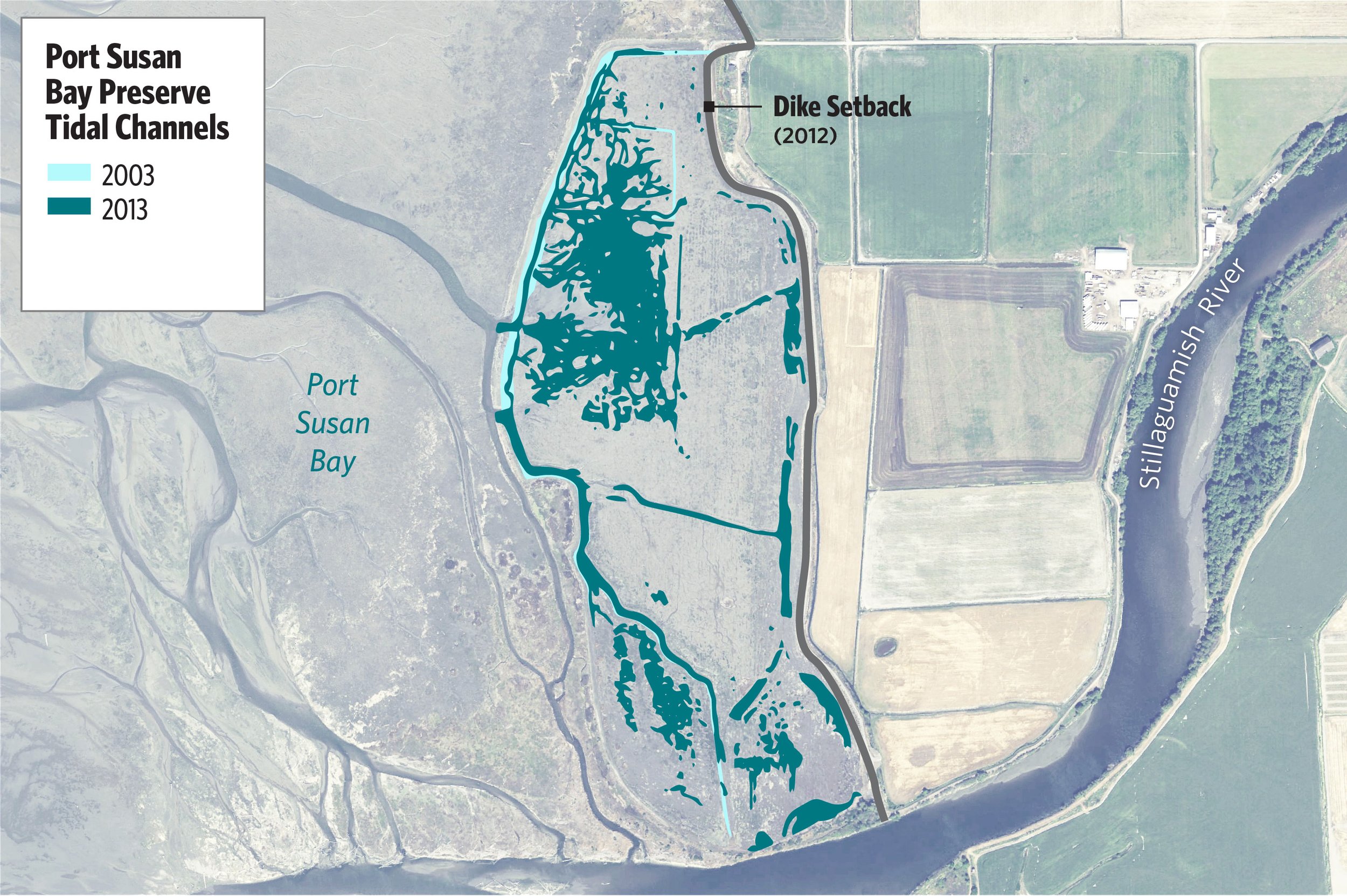 Port Susan Bay Preserve: Where have all the Chinook gone? (Part 2 ...