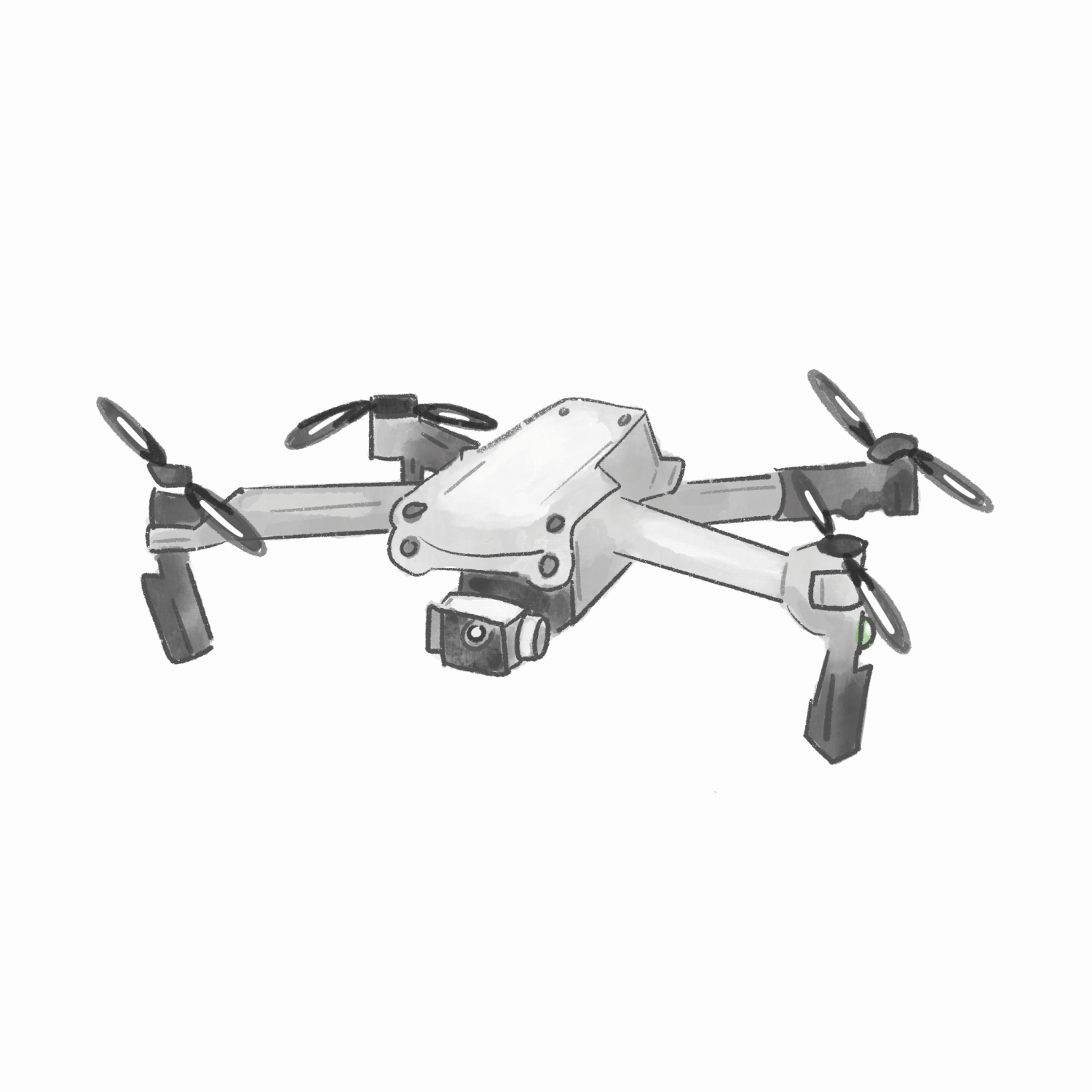 Taking Flight: How Drones Amplify Conservation Efforts — The Nature ...