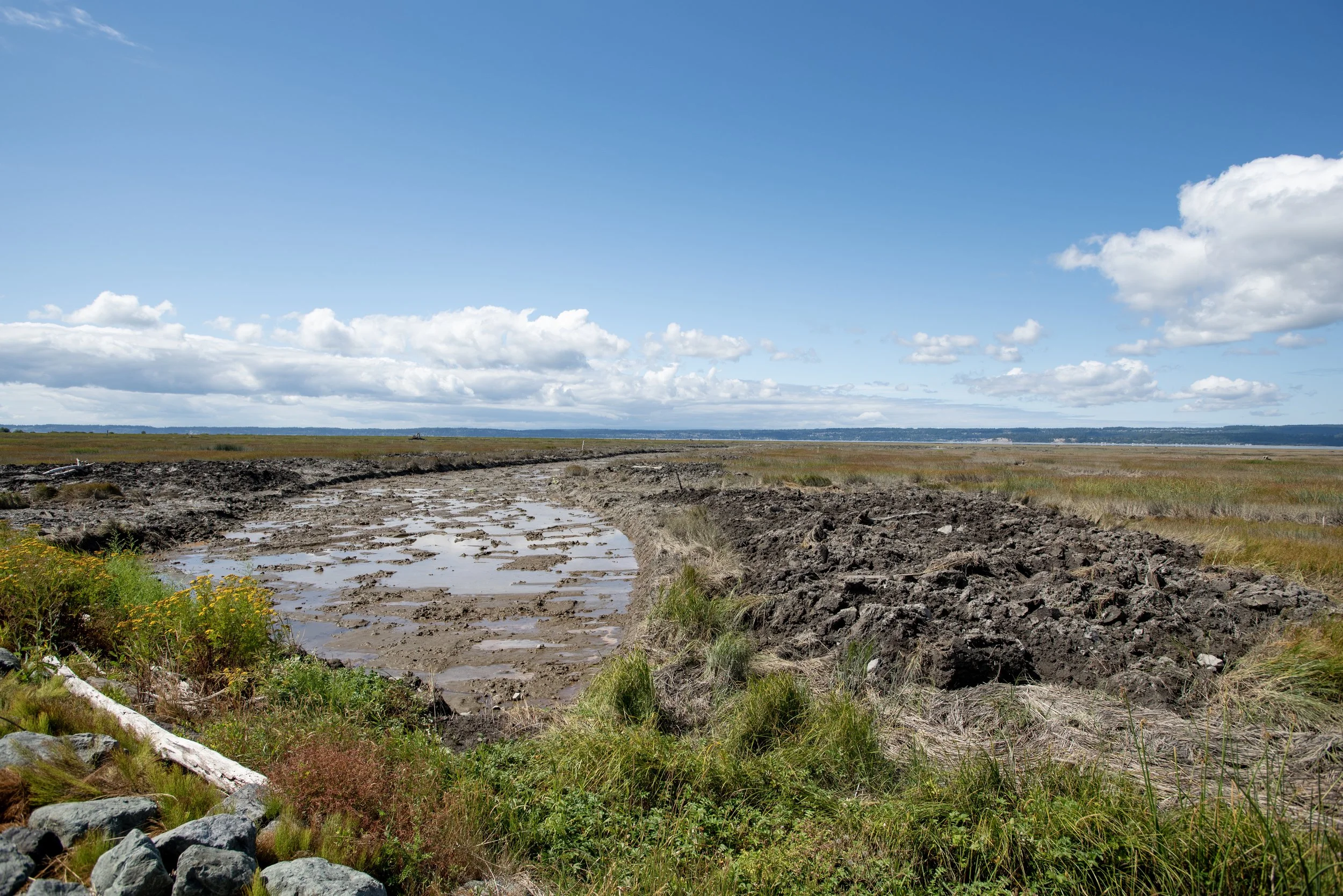 Listening Sessions with a Marsh: Port Susan Bay Preserve’s Estuary ...