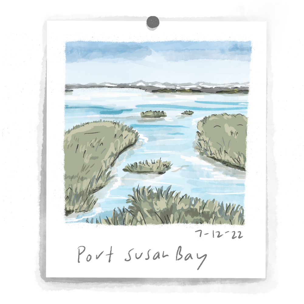 Port Susan Bay Preserve: Where have all the Chinook gone? (Part 2 ...