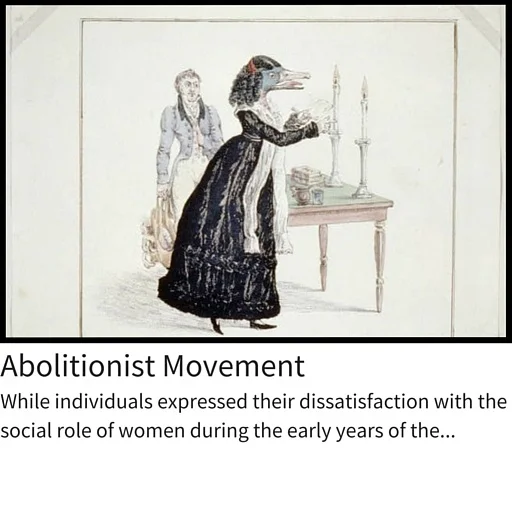 The History of the Suffrage Movement — History of U.S. Woman's Suffrage