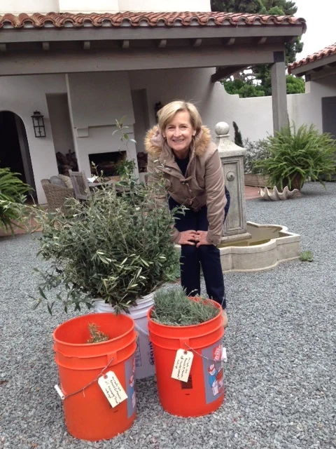 Bonnie Jo Manion - In the Press — Bonnie Jo Manion | French Country Living