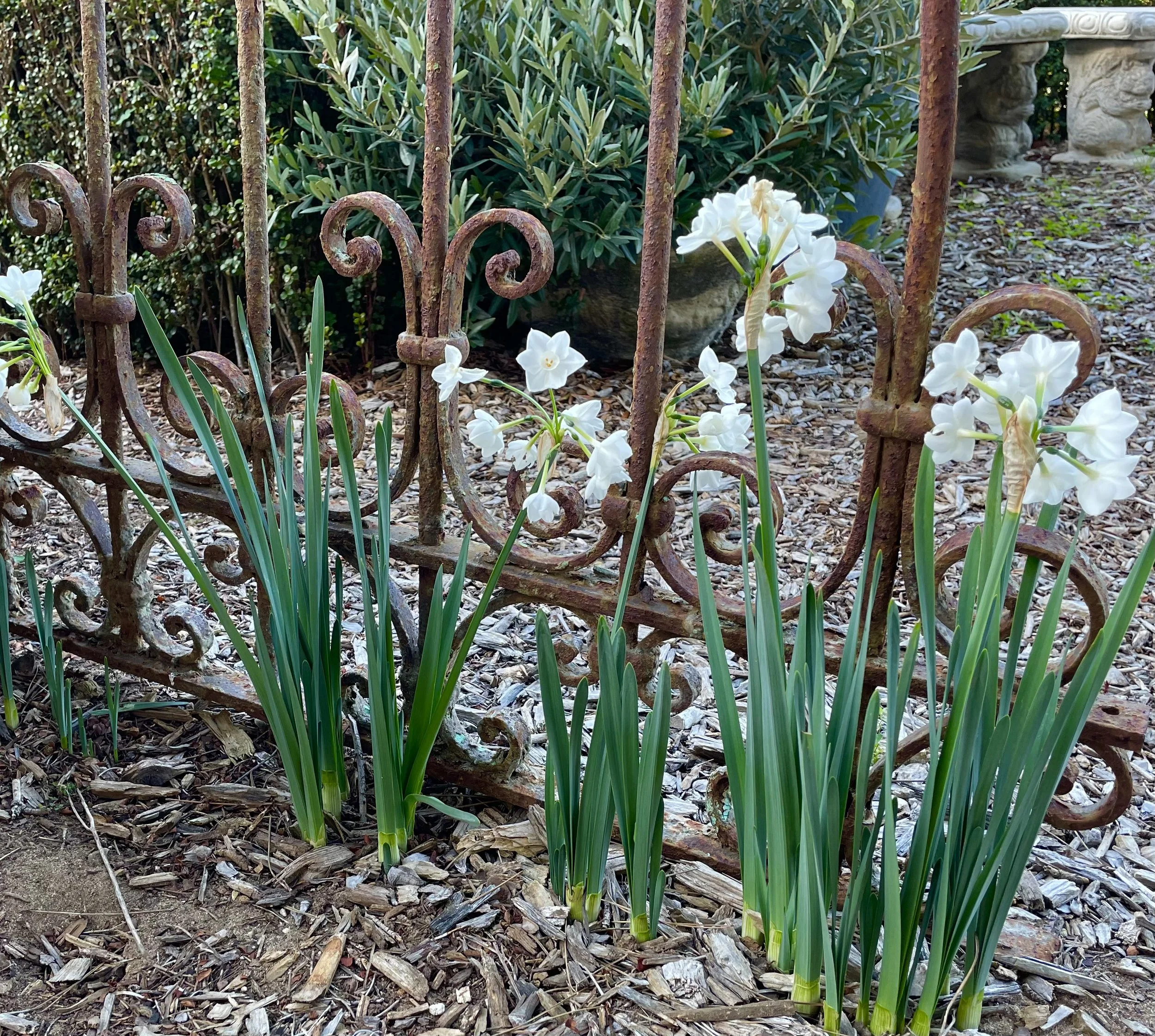 Le Blog — Bonnie Jo Manion | French Country Living — Bonnie Jo Manion ...