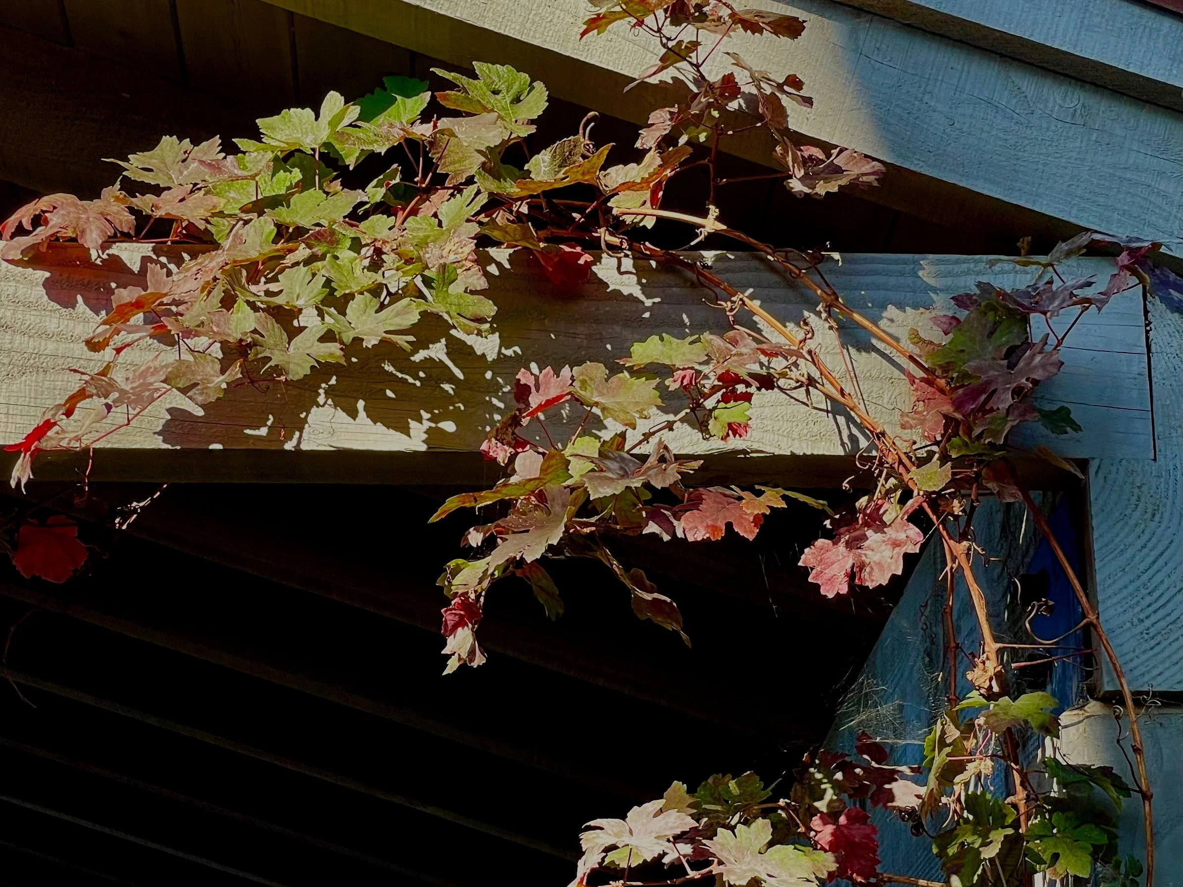 Le Blog — Bonnie Jo Manion | French Country Living — Bonnie Jo Manion ...