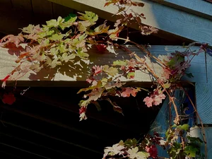 Le Blog — Bonnie Jo Manion | French Country Living — Bonnie Jo Manion ...