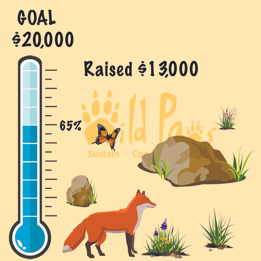 Wild Paws Sanctuary | Blog | Wild Paws Progress