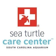 VOLUNTEER OPPORTUNITIES — KLH Group