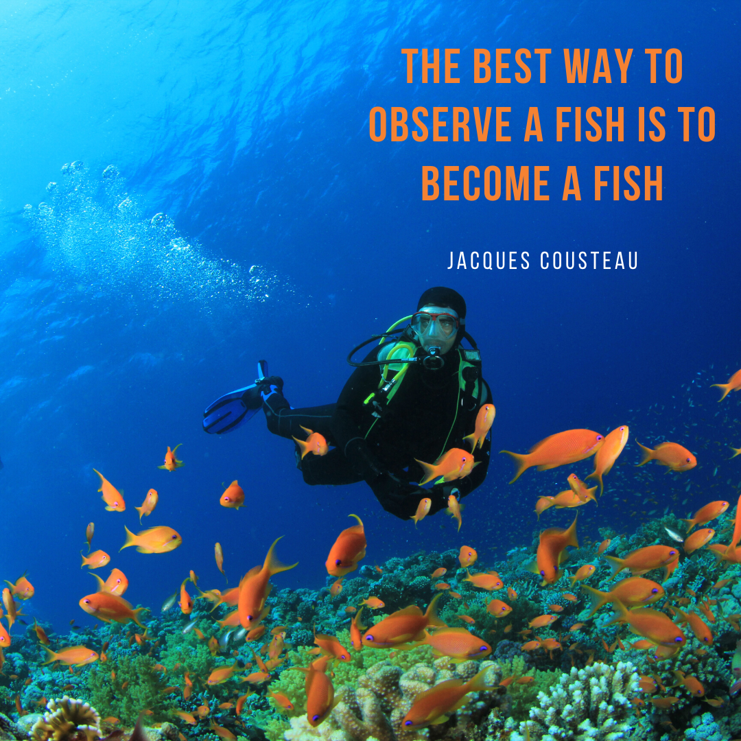 Coral Reef Conservation Quotes