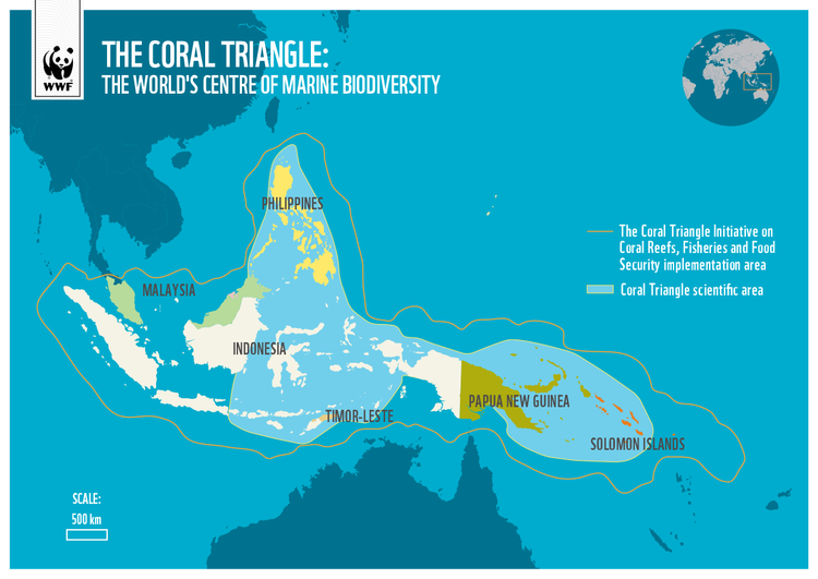 8 Amazing Coral Triangle Facts (and why we should protect it) — The ...