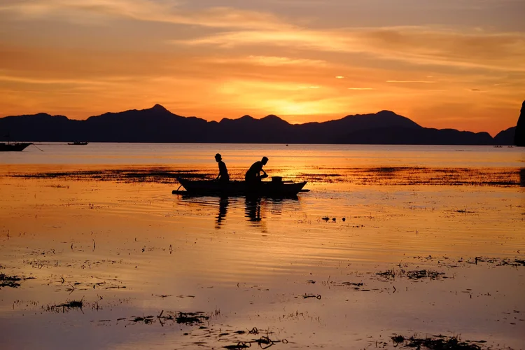 8 Amazing Coral Triangle Facts (and why we should protect it) — The ...