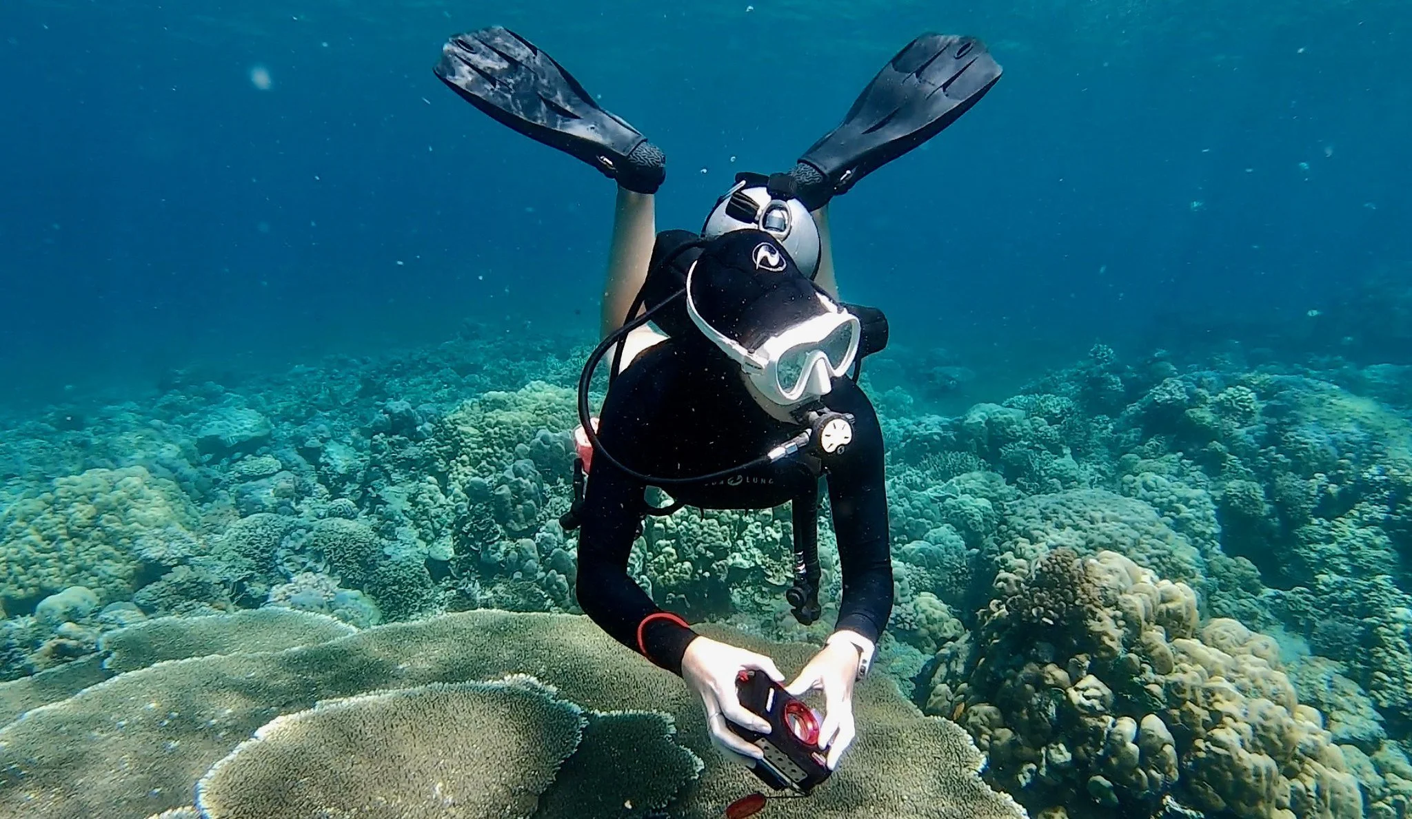 The Reef-World Foundation