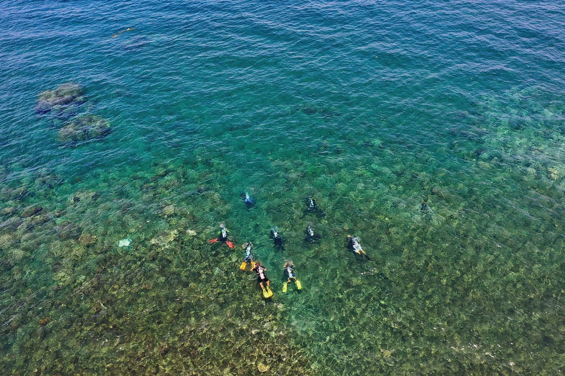 Reef World Sustainability Survey Short Form The Reef World Foundation Reef World Sustainability Survey Short Form The Reef World Foundation