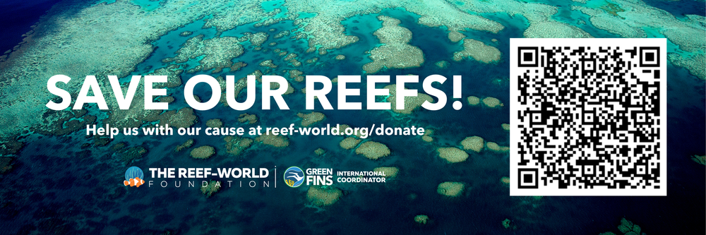 Press release: Reef-World Foundation Launches First Ever End-of-Year Campaign: Save Our Reefs ...