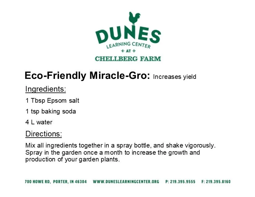 Dunes Learning Center | Secret Garden & Fresh Food Fridays