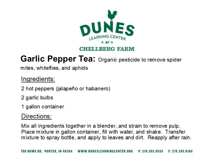 Dunes Learning Center | Secret Garden & Fresh Food Fridays