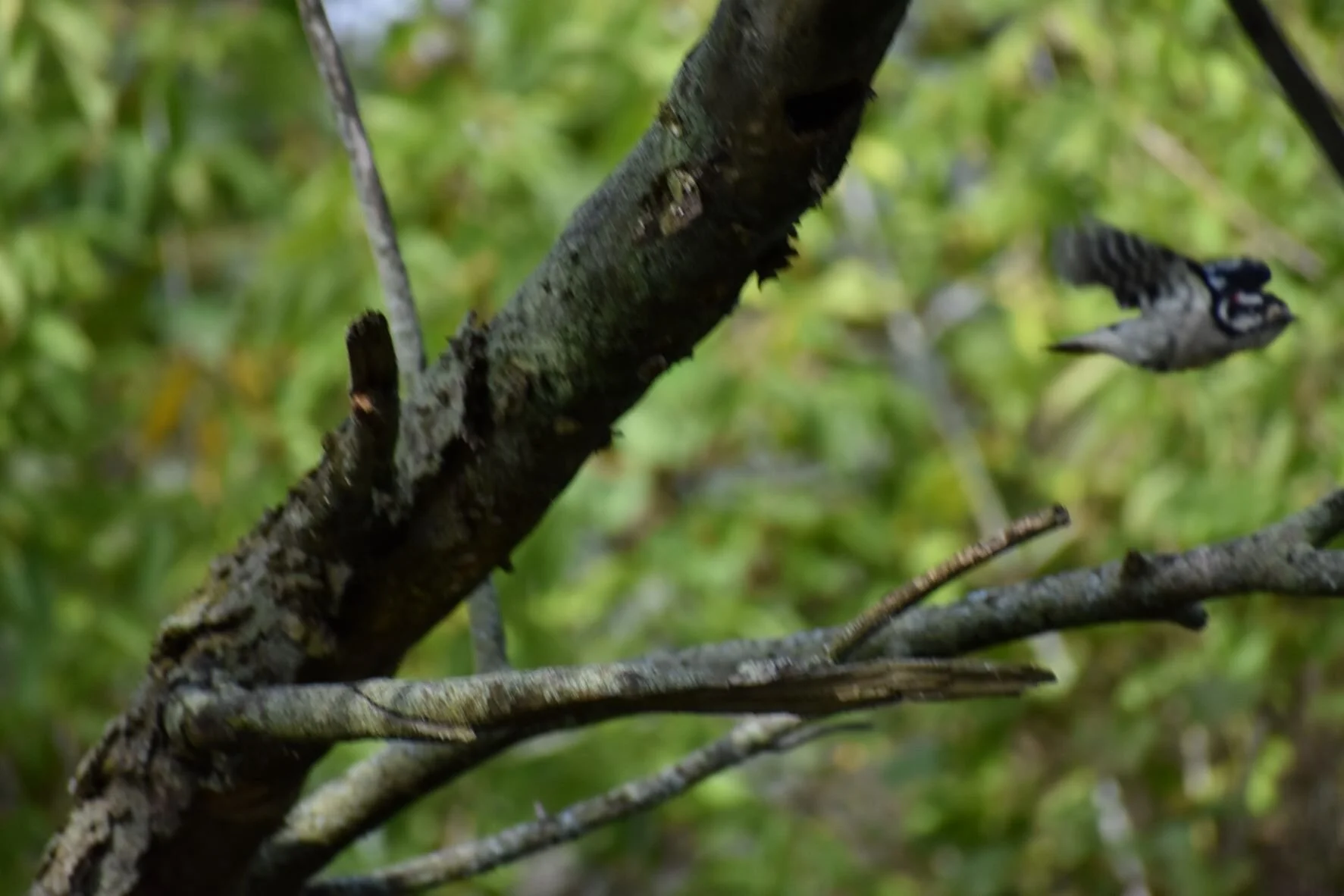 Dunes Learning Center | Exploring Nature Through a Lens