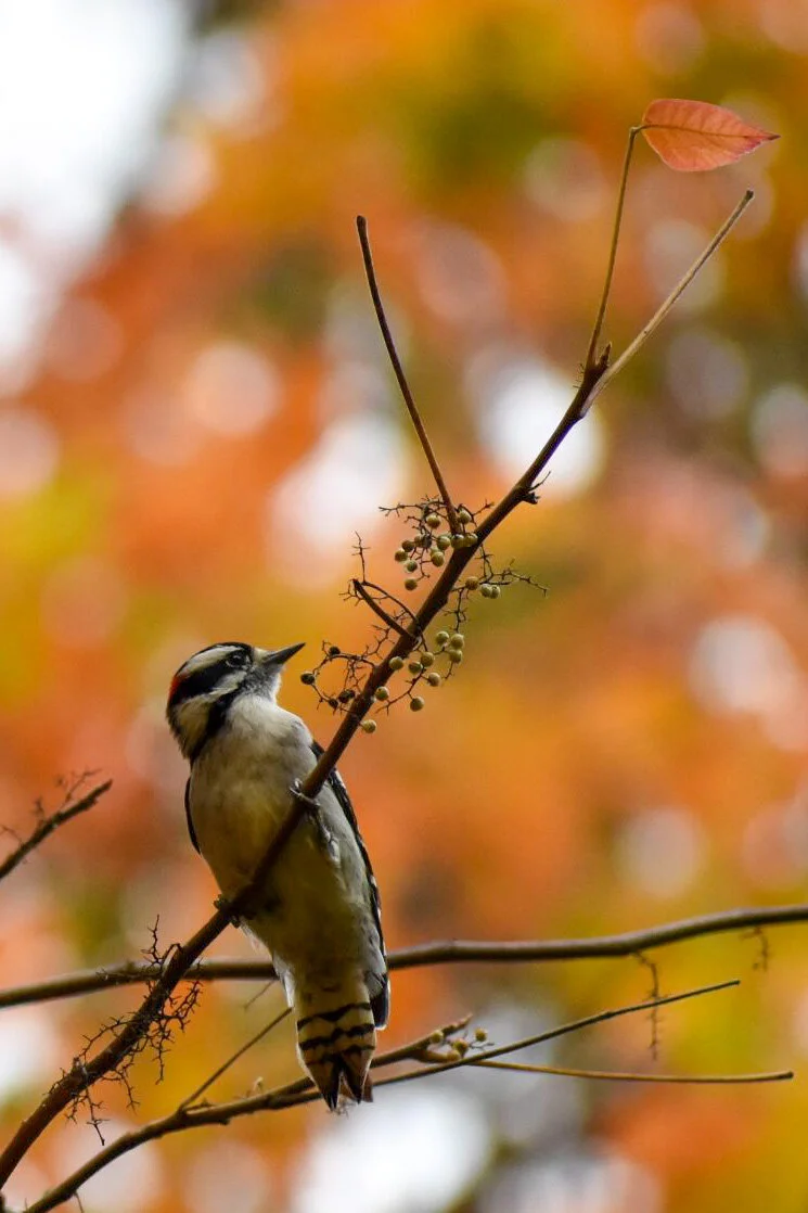 Dunes Learning Center | Exploring Nature Through a Lens
