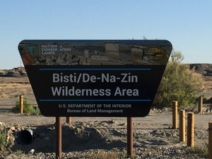 Paleoaesthetics in the Bisti Badlands — Extinct
