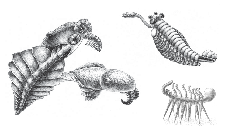 Ode to Opabinia, or Why You Don't Hear as Much About Problematic ...
