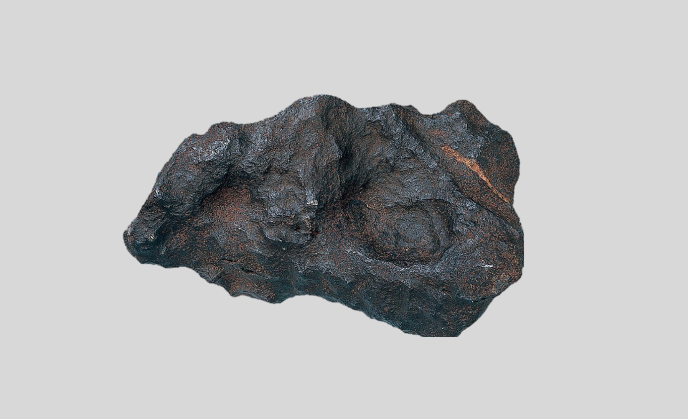 History, Kindness, and the Great Evolutionary Faunas — Extinct