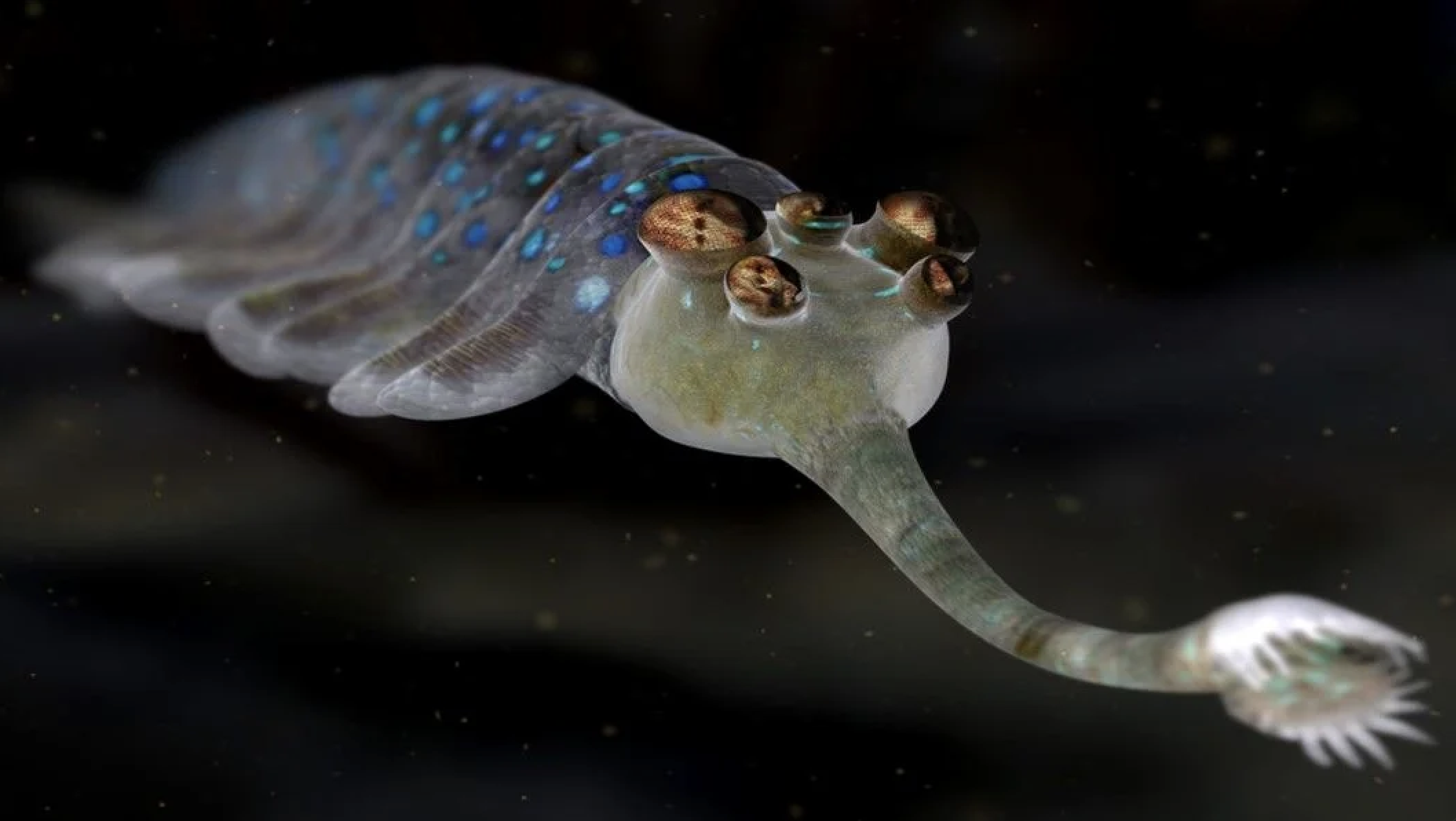 Ode to Opabinia, or Why You Don't Hear as Much About Problematic ...