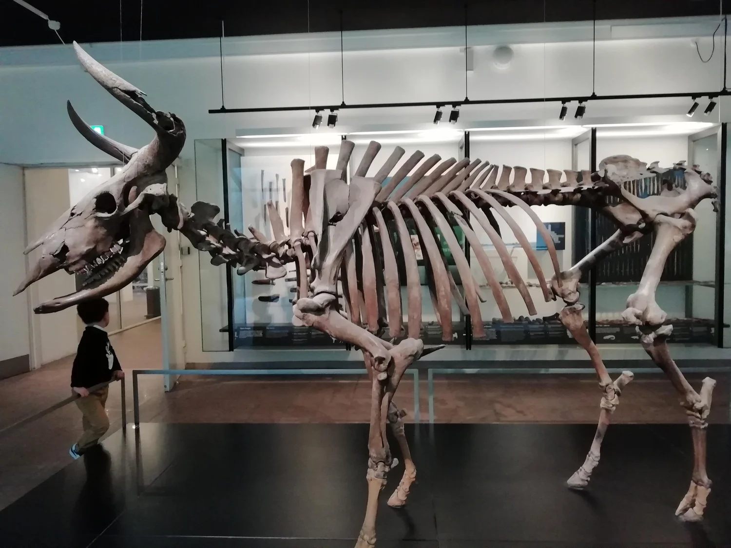 A History of Resurrection Biology, Part One: Extinction, Redemption ...