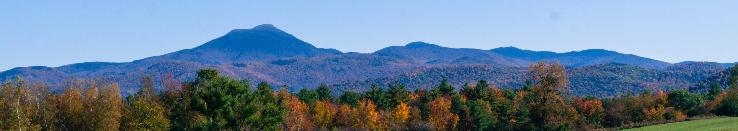 ClearView Merchant Services | Loan Payments by Credit Card | Referral ...