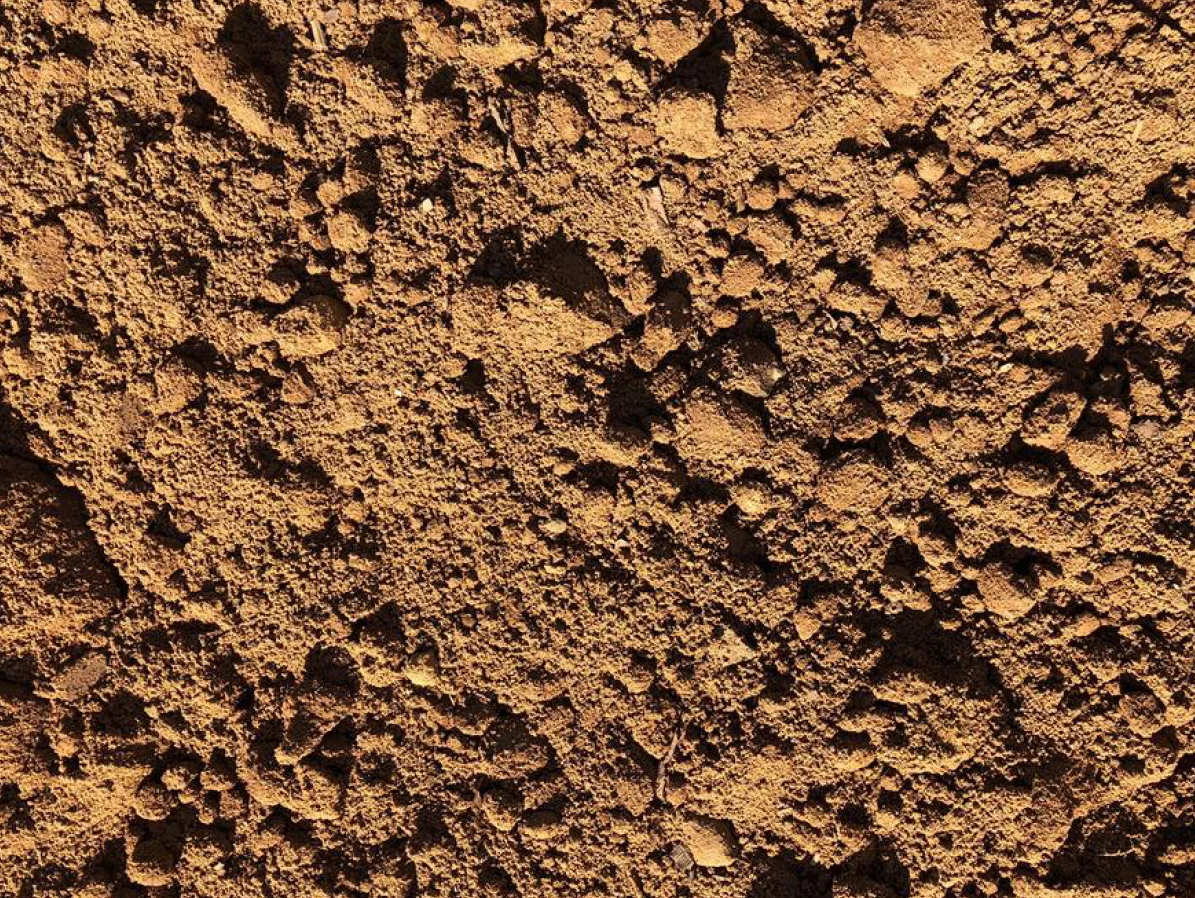 EASTMAN SOIL PRODUCTS — Just H O M E