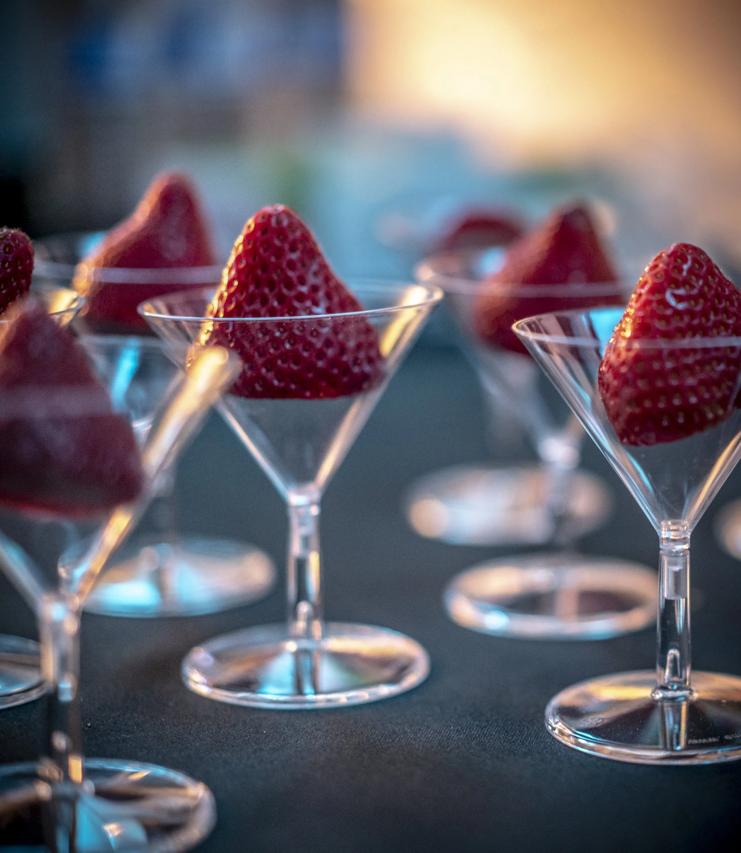 Opening Night Highlights — Phoenix Film Festival