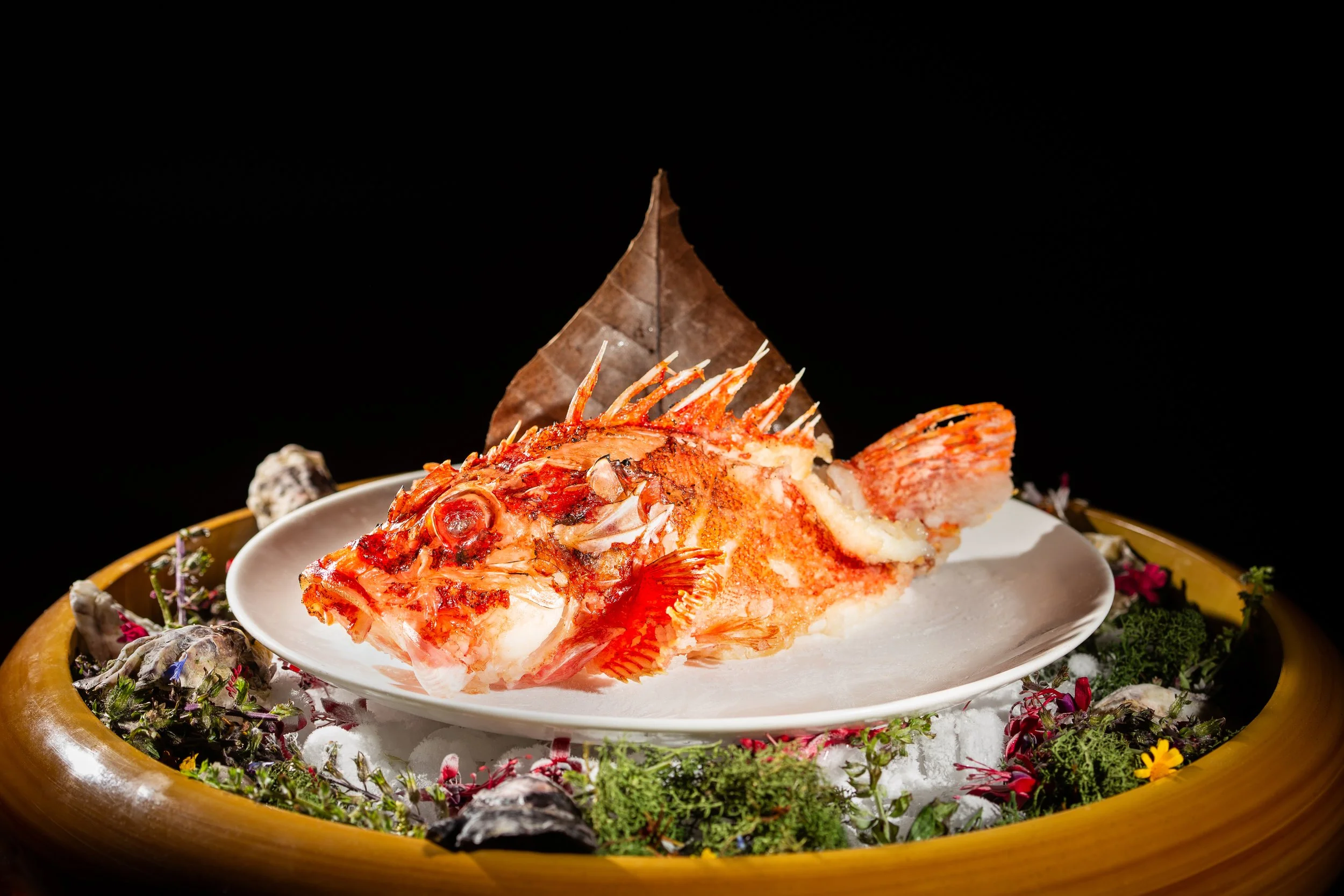 2023 Award Winners — Phoenix Film Festival